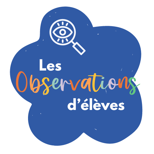 Cahiers & grilles d'observations élèves – Lesprepasdemathilde